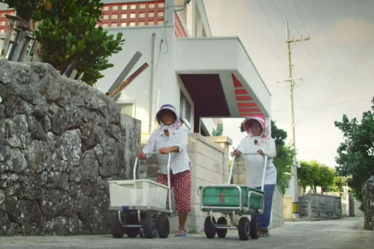 Old Woman Is Master Sea Snake Catcher! - Real English Club